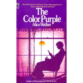 The Color Purple : A Novel (Paperback) - Walmart.com