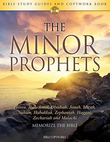 Pre-Owned The Minor Prophets: Bible Study Guides and Copywork Book - (Hosea, Joel, Amos, Obadiah ...