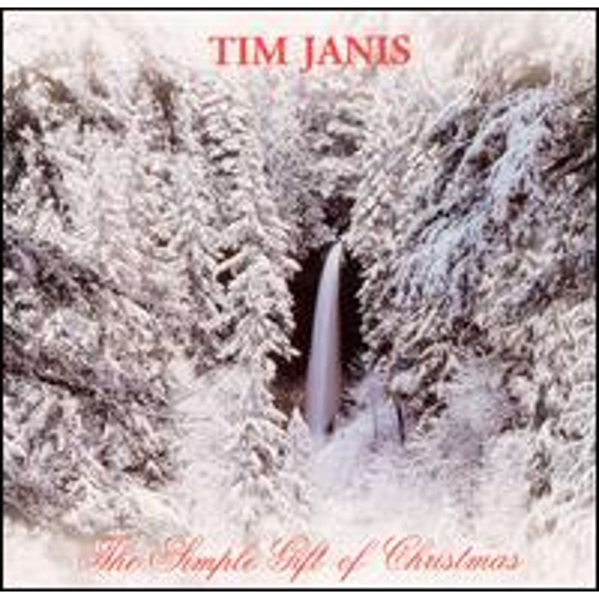 Pre-Owned The Simple Gift of Christmas (CD 0664277111328) by Tim Janis - Walmart.com