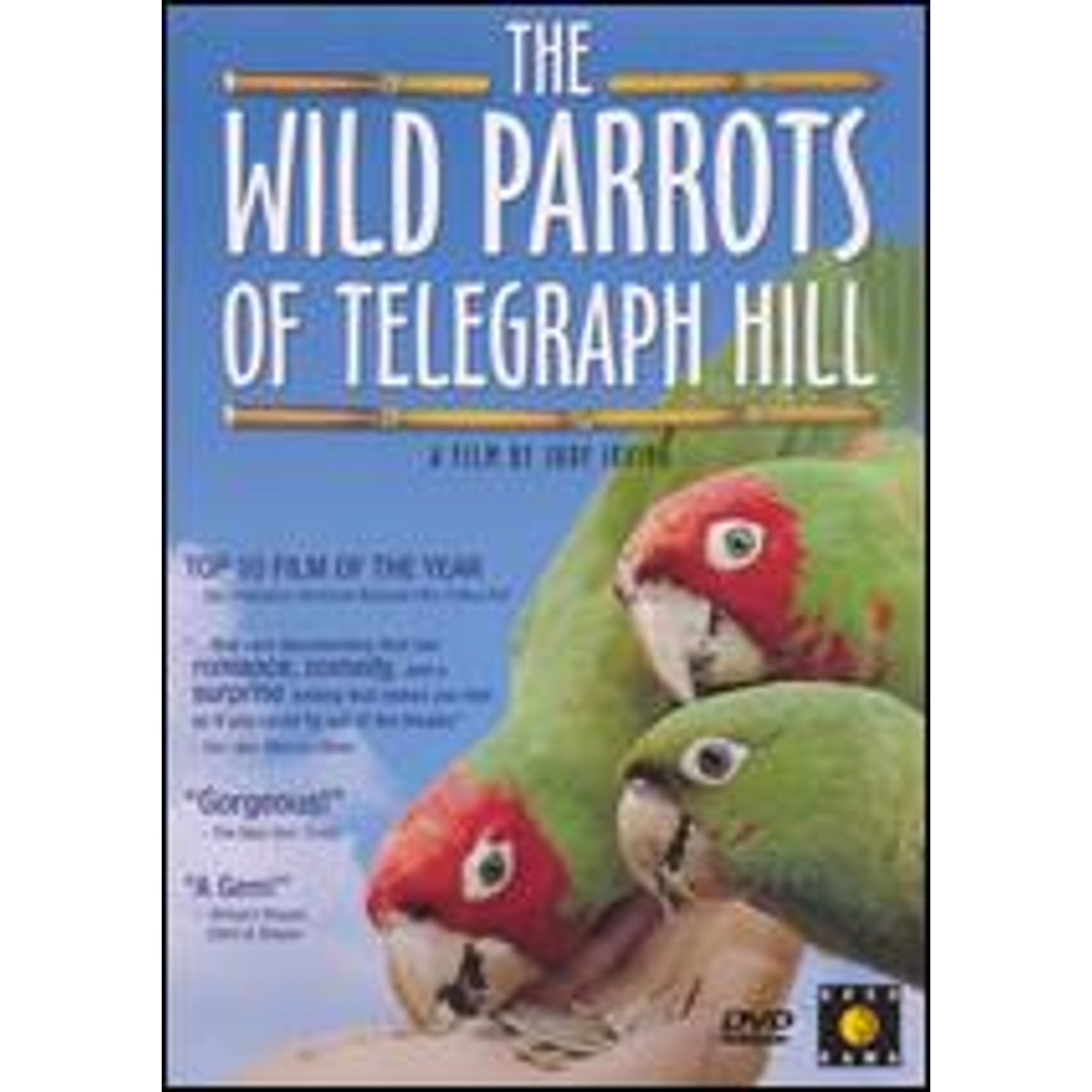 Pre-Owned The Wild Parrots of Telegraph Hill (DVD 0767685969335 ...