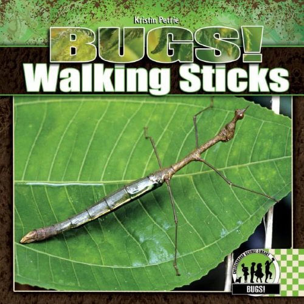 Pre-Owned Walking Sticks (Bugs!) Hardcover - Walmart.com
