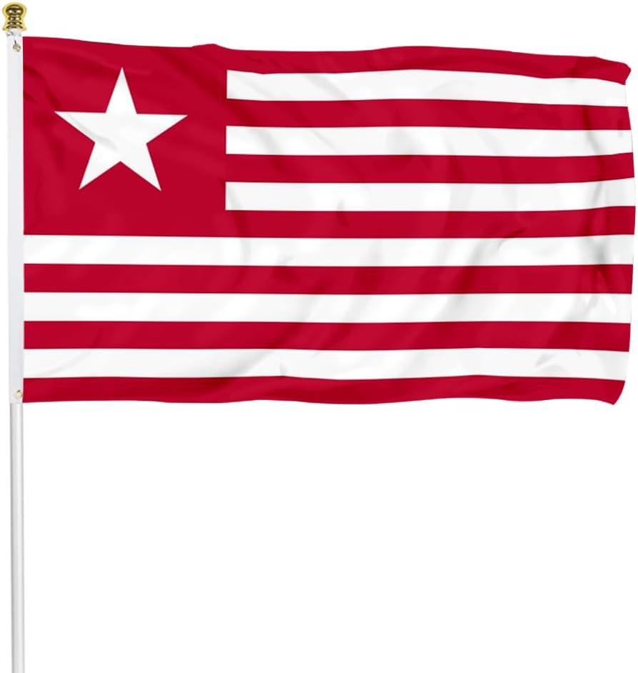 Pre-Revolutionary Flag Colonel James Long's flag ¨C the second of the ...