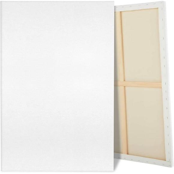 Large Blank Canvases
