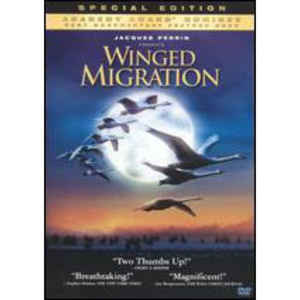 Pre-Owned Winged Migration (Widescreen) - Walmart.com