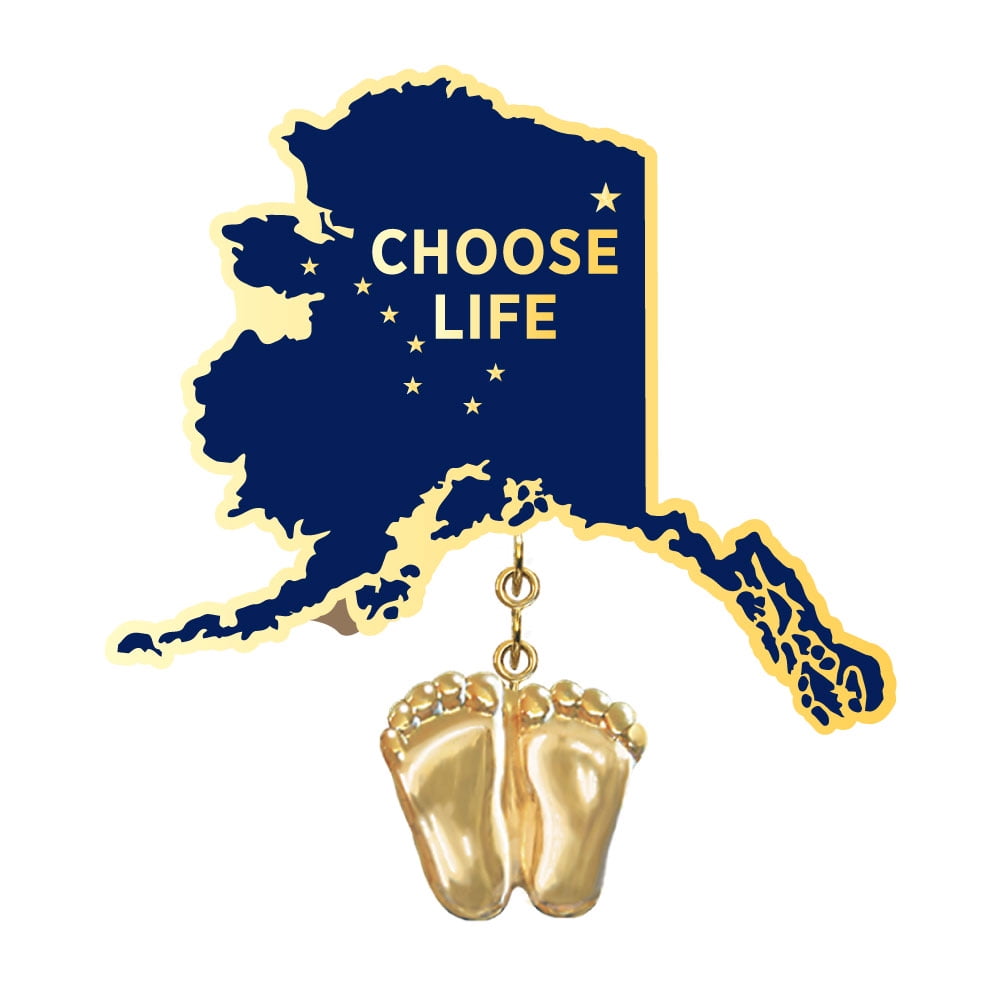 Precious Feet, 14K Gold Plated, Alaska Flag Jewelry, Lapel Pin ...