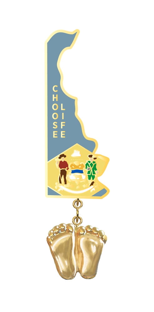 Precious Feet, 14K Gold Plated, Delaware Flag Jewelry, Lapel Pin ...