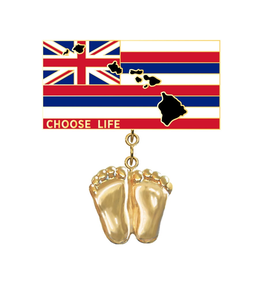 Precious Feet, 14K Gold Plated, Hawaii Flag Jewelry, Lapel Pin ...
