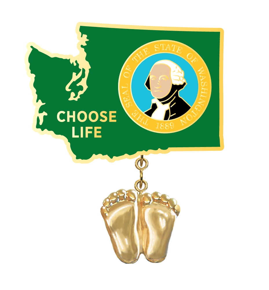 Precious Feet, 14K Gold Plated, Washington Flag Jewelry, Lapel Pin ...