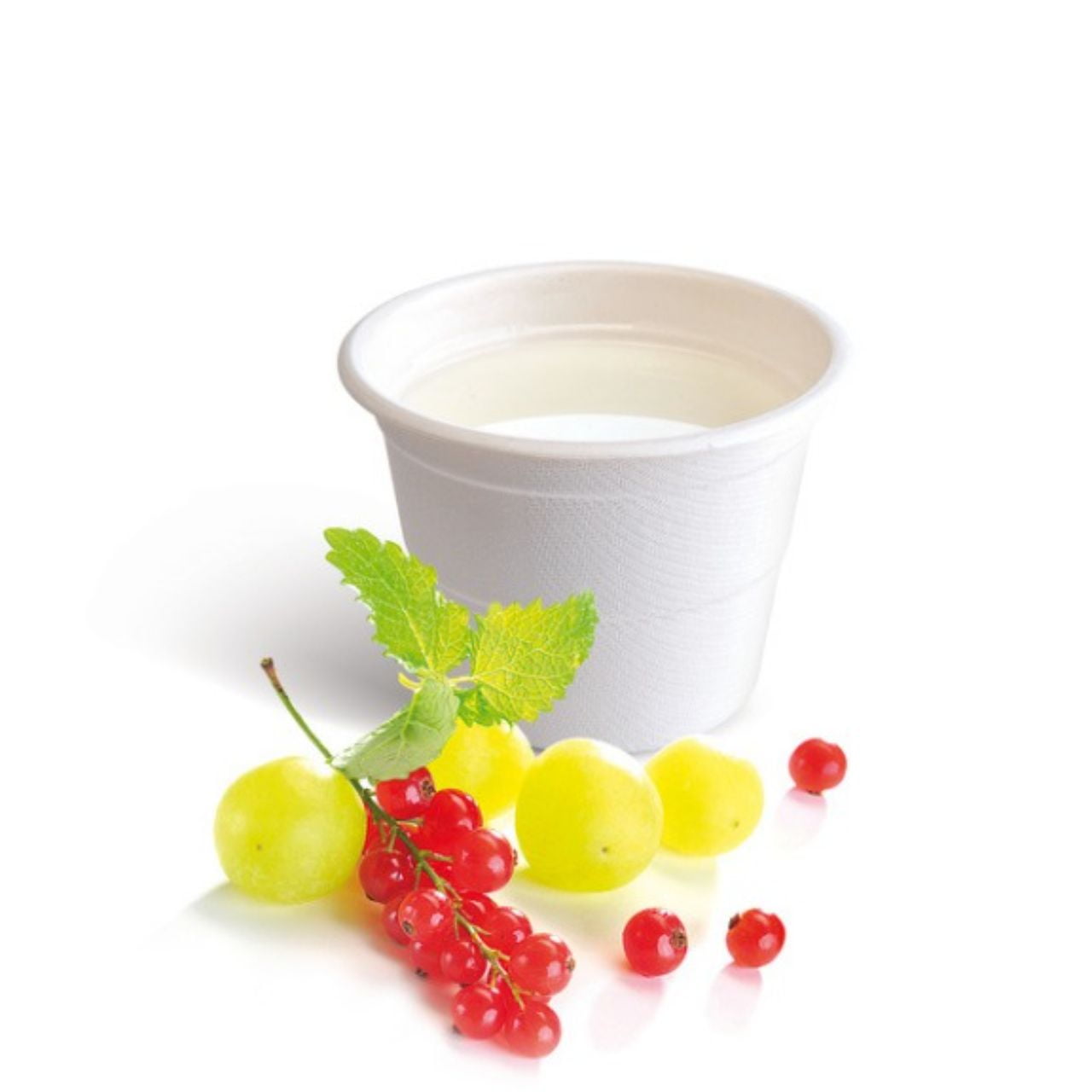 Precise Portions 10oz Disposable Cups (Set of 25) Portion Control Cups ...