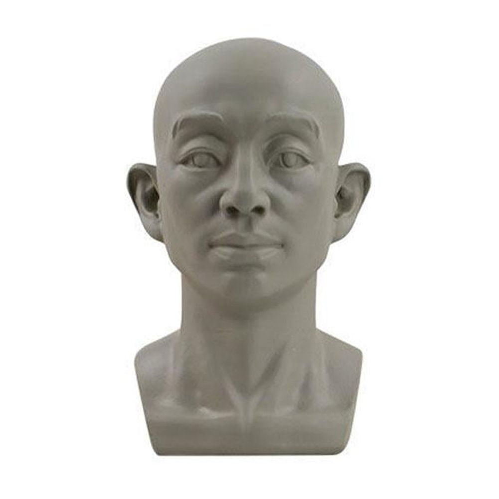 Precision Gypsum Head Sculpture, 13cm x 7.5cm, High Fidelity, Stable ...