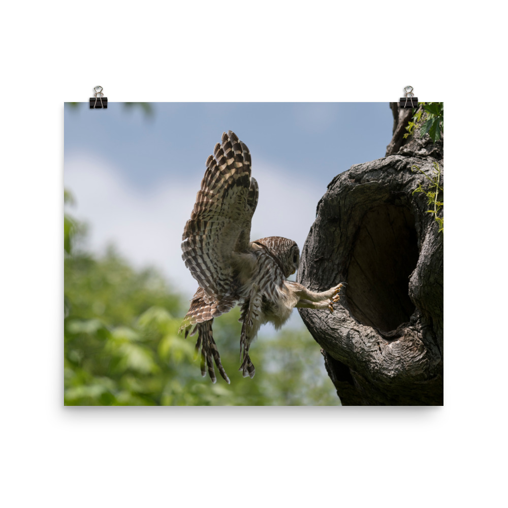 Precision Landing! Photo paper poster (16″×20″) - Walmart.com