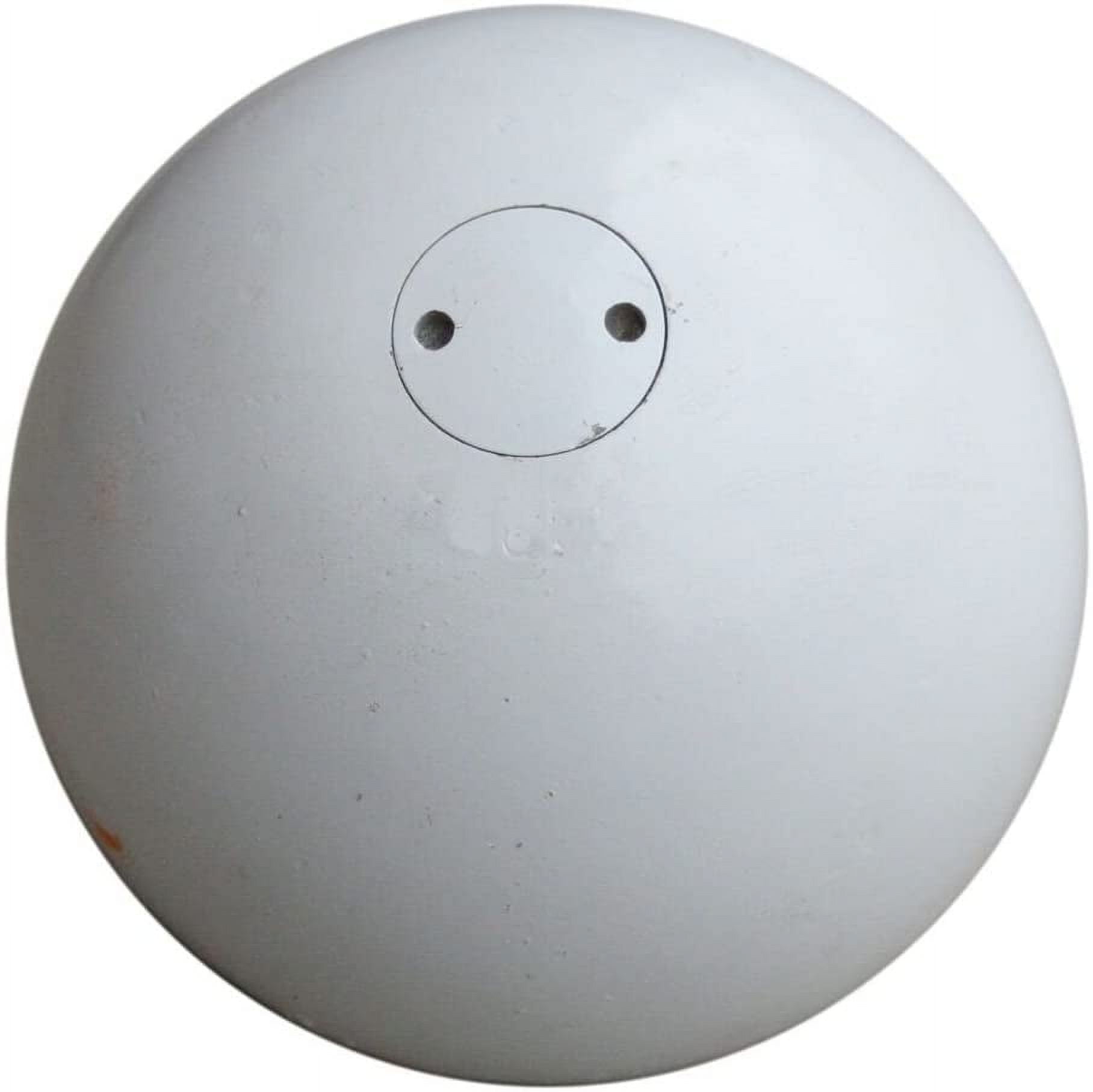 Precision Performance 2kg/4.40lb Iron Shot Put Versatile Training and ...