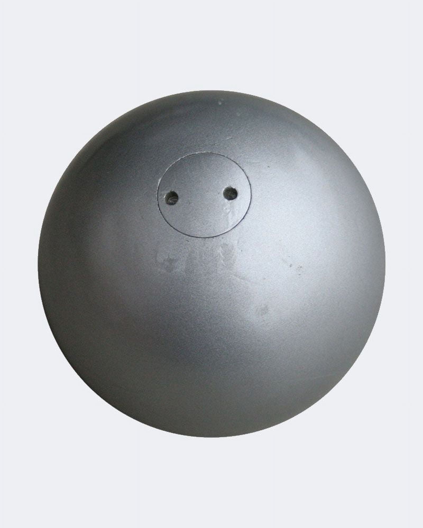 Precision Performance 4.53kg/10lb Iron Shot Put Versatile Training and ...