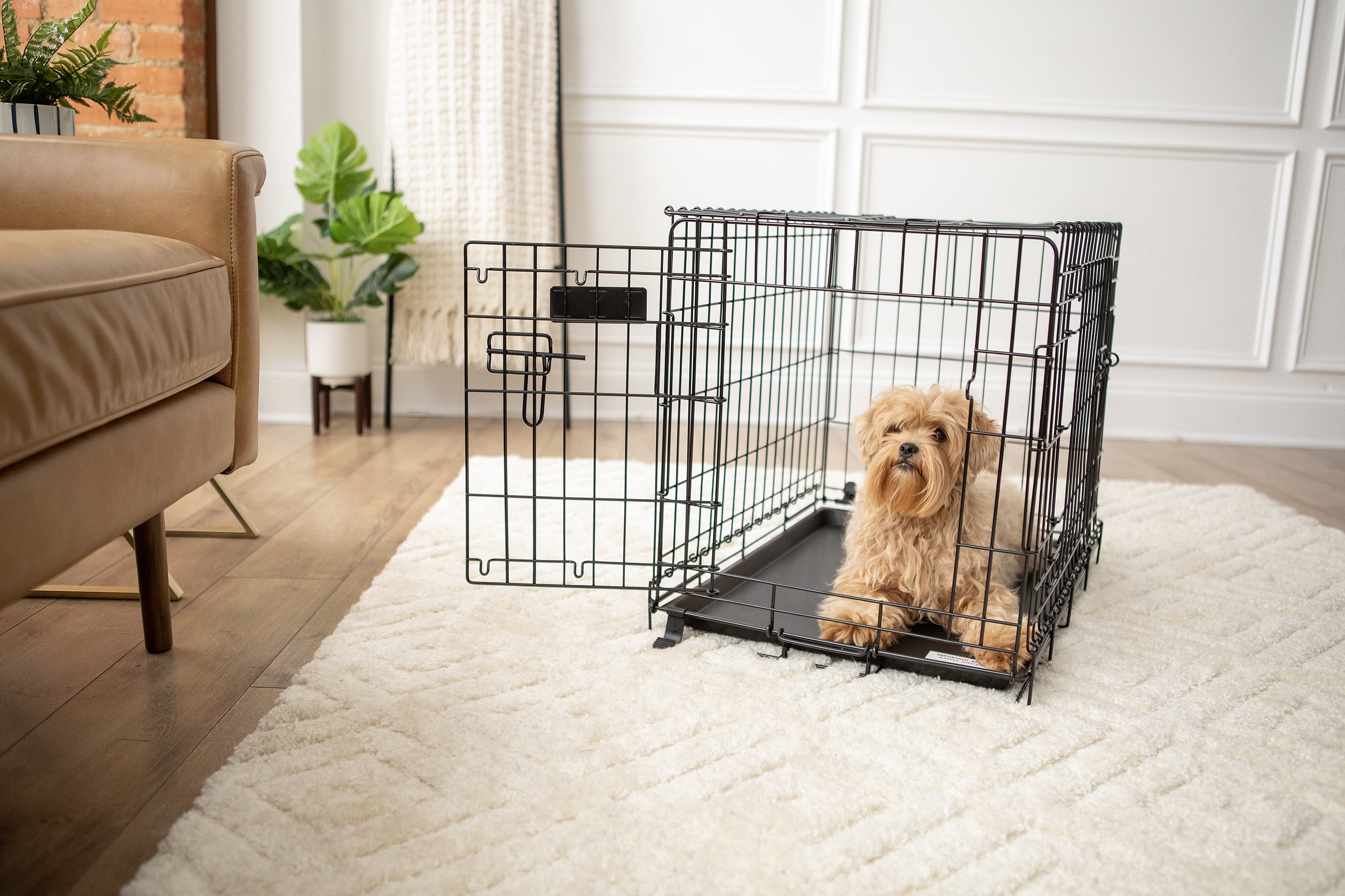 Precision Pet Products 1-Door Wire Dog Crate With Removable Pan & 5 ...