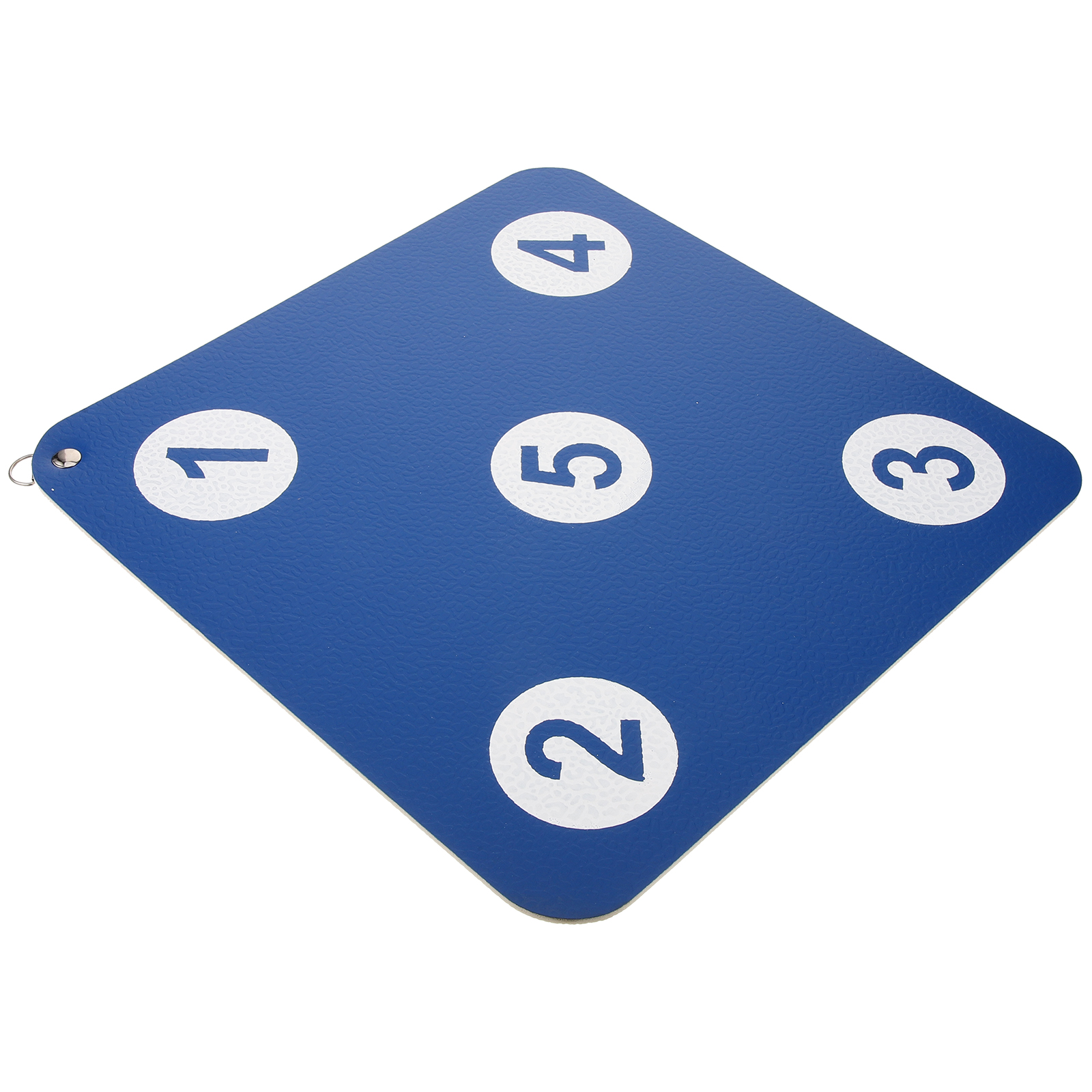 HEMOTON Dark Blue Rubber Fencing Targets for Training Lightweight ...