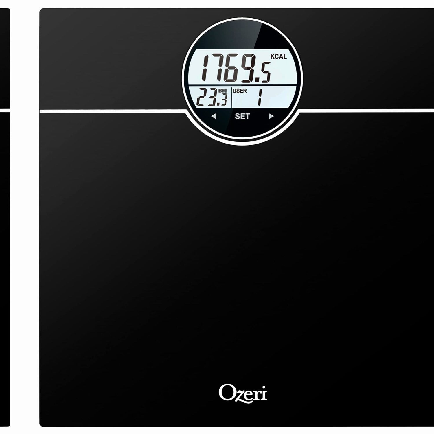 PrecisionFit 440 lbs Body Weight Scale with Advanced BMI, BMR Analysis ...