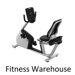 Life Fitness RS3 Recumbent Indoor Riding Exercise Bike with Go Console ...