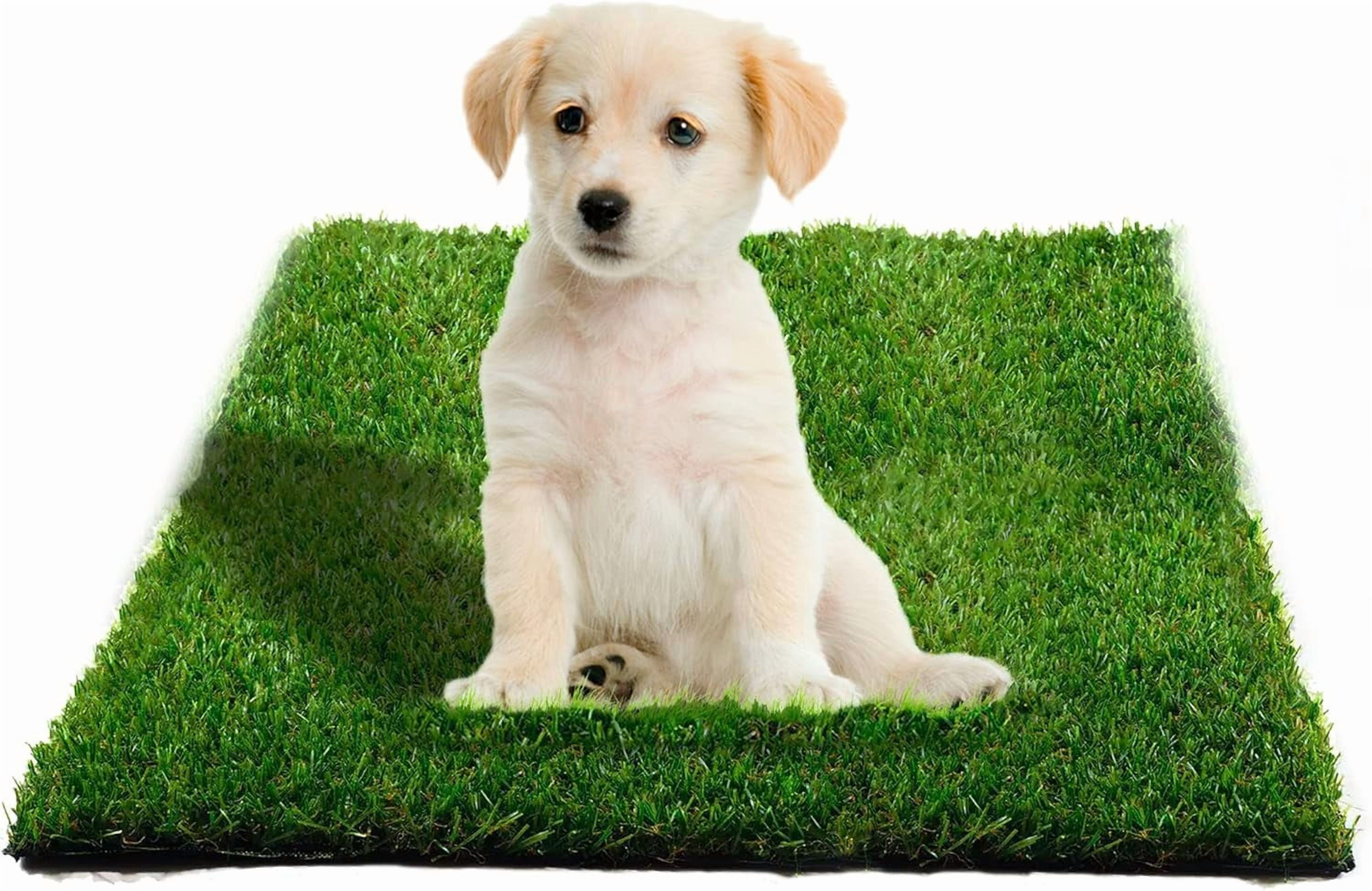 Precut 6'x8' Artificial Grass Mat | All Green Artificial Turf for Dogs ...