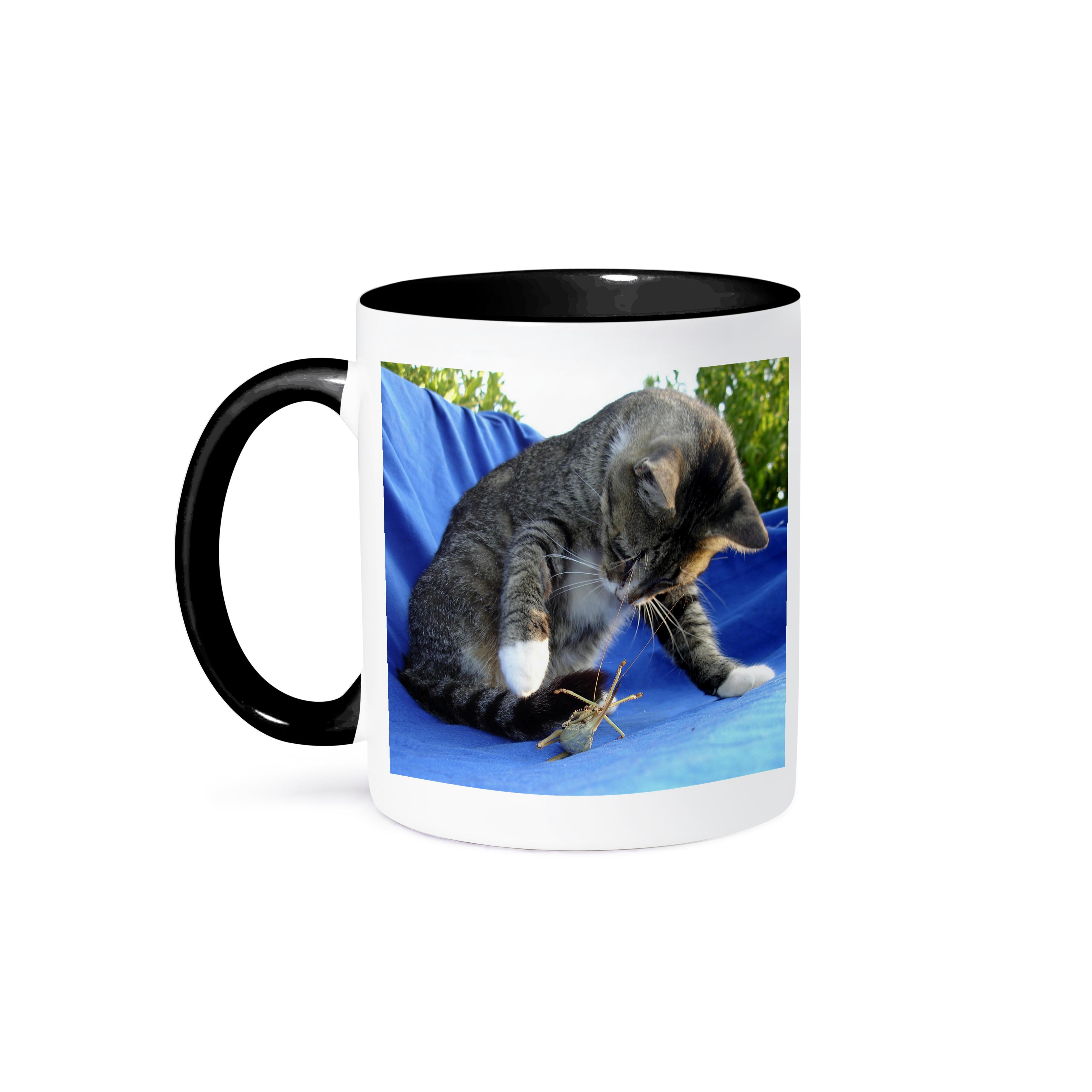 3dRose, Predator - animal, moggie, tabbies, tabby cat, cat, cats, cute ...