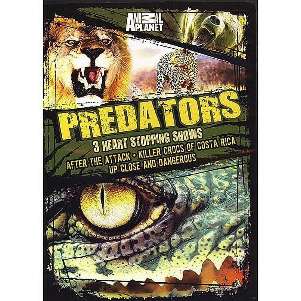Predators: After The Attack / Killer Crocs Of Costa Rica / Up Close And ...