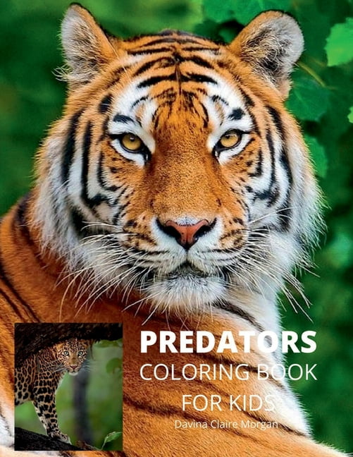 Predators Coloring Book for Kids: Wildlife Animal Coloring Book for ...