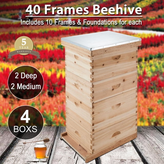 Preenex Premium Langstroth Bee Hive 8 Frame 2 Deep 2 Medium, All Frames ...