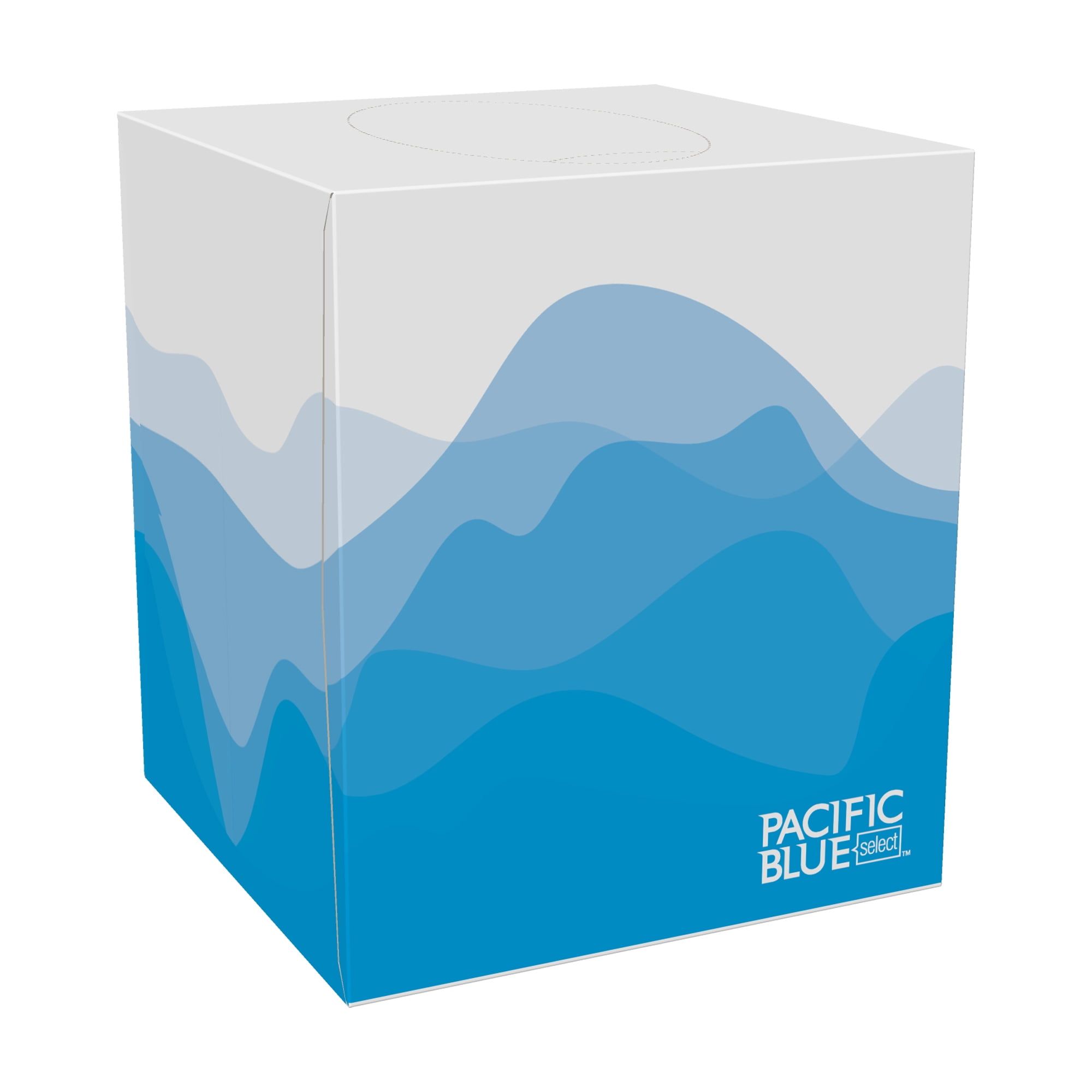 Preference Everyday Soft 2-Ply Facial Tissue Cube, 100 Count Multipack ...