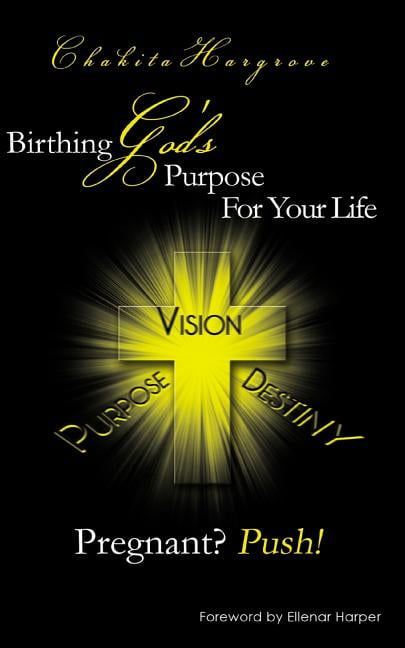 Pregnant? Push!: Birthing God's Purpose For Your Life - Walmart.com