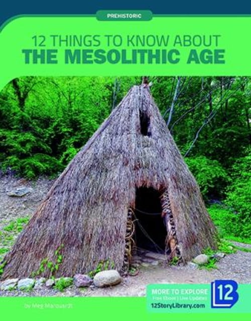 Pre-Owned Prehistoric: 12 Things to Know about the Mesolithic Age ...