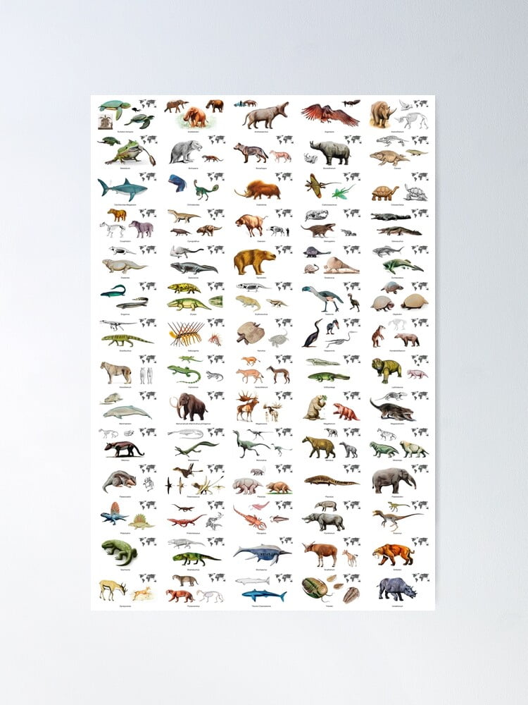 Prehistoric Animals (with names and maps) Poster - Walmart.com