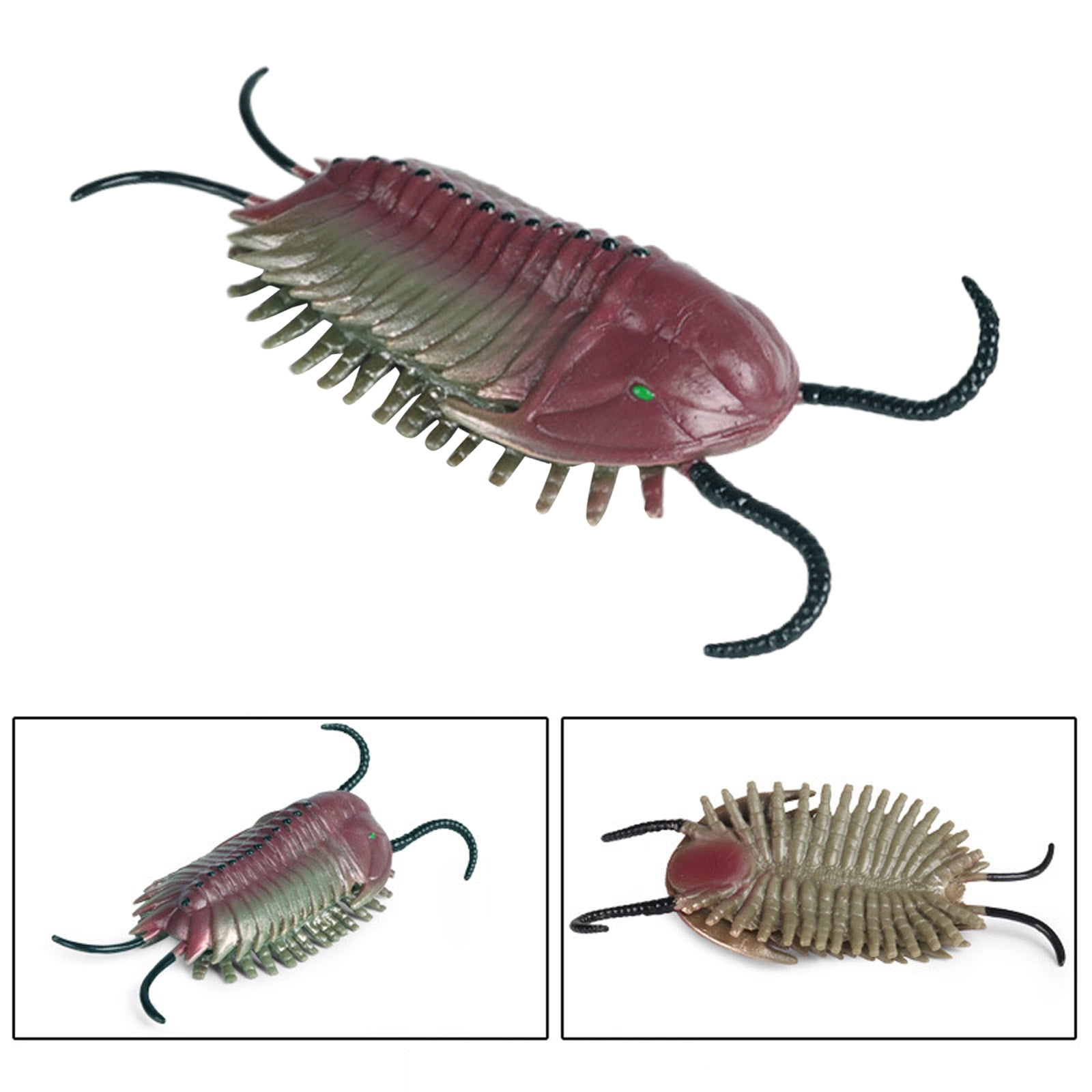 Prehistoric Sea Creatures Marrella Figurine Realistic Animal Figure ...