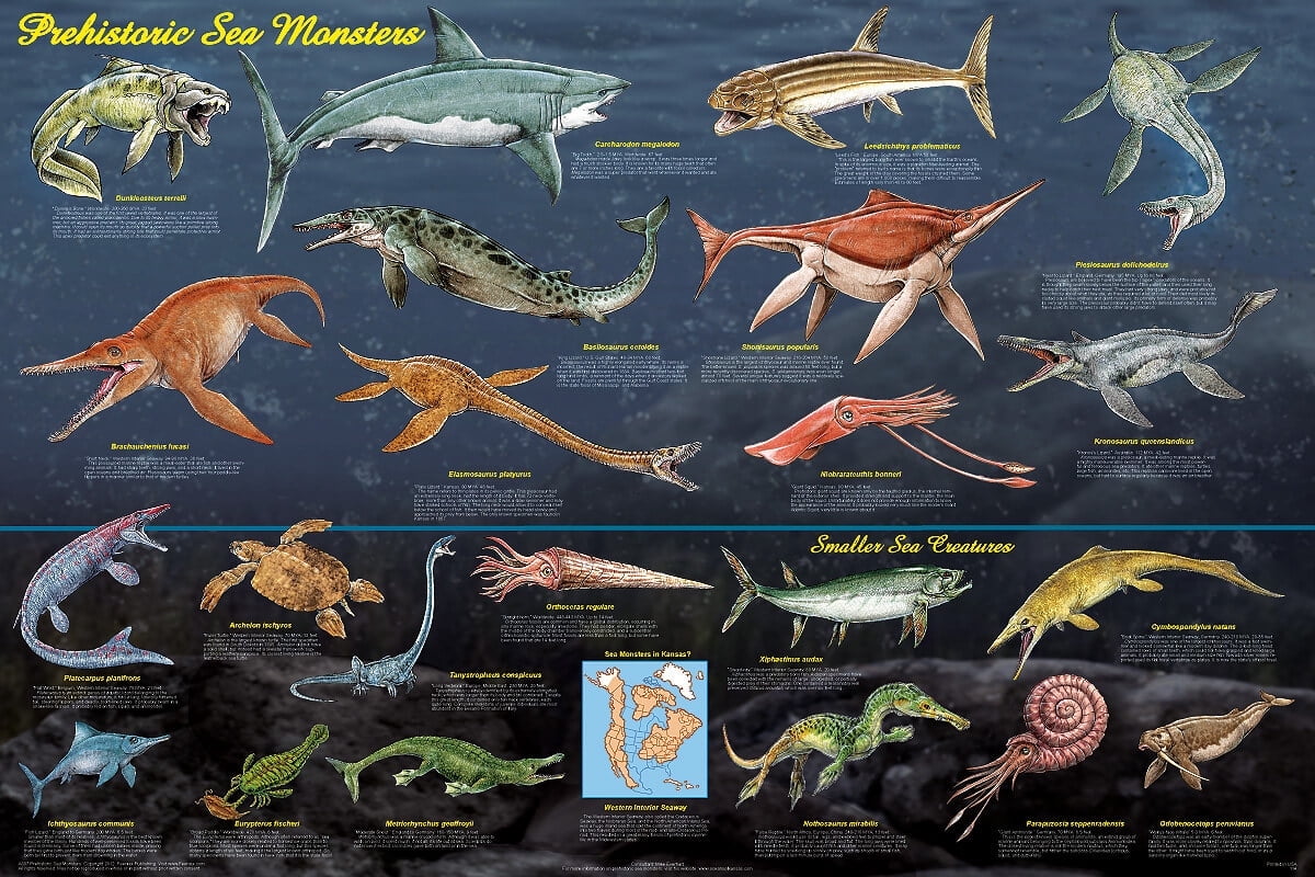 Prehistoric Sea Monsters Educational Poster 36.5x24.5 - Laminated ...