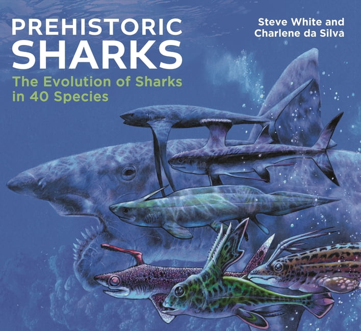 Prehistoric Sharks: The Evolution of Sharks in 40 Species, (Hardcover ...