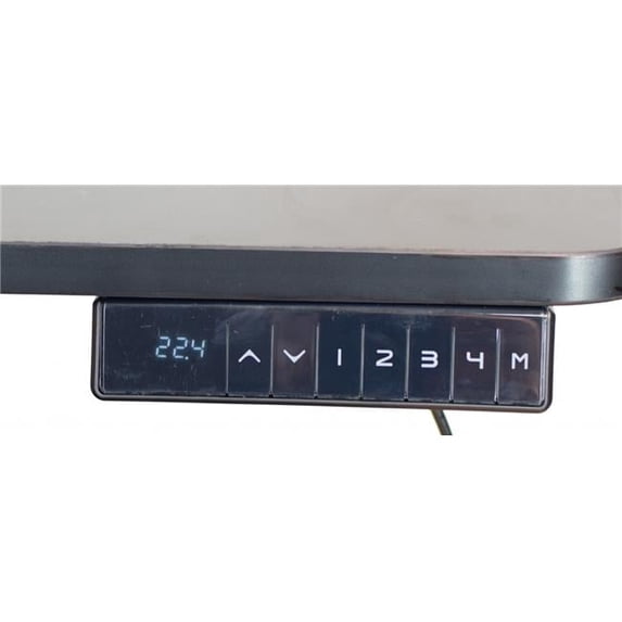 Premier 52 in. Gray Dual Motor Electric Office Adjustable Standing Desk ...