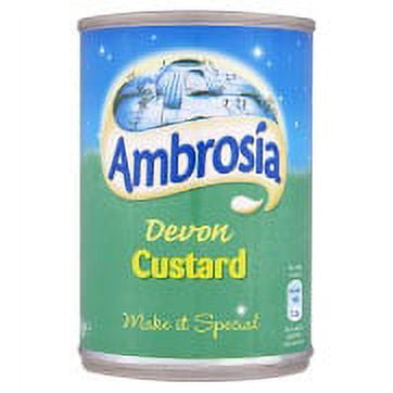 Ambrosia Custard 15 Oz - Walmart.com