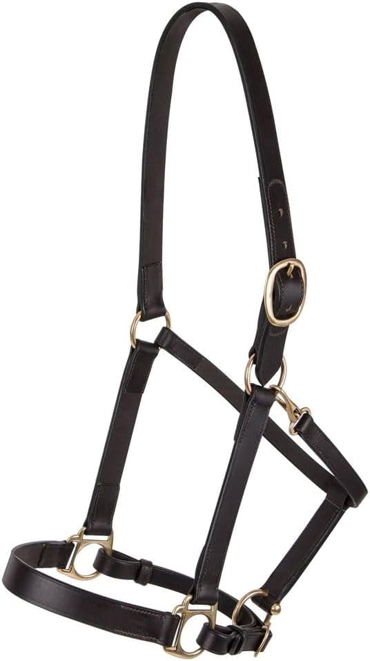 Premier Lancaster Leather Halter for Horses | Simple Economy Leather ...