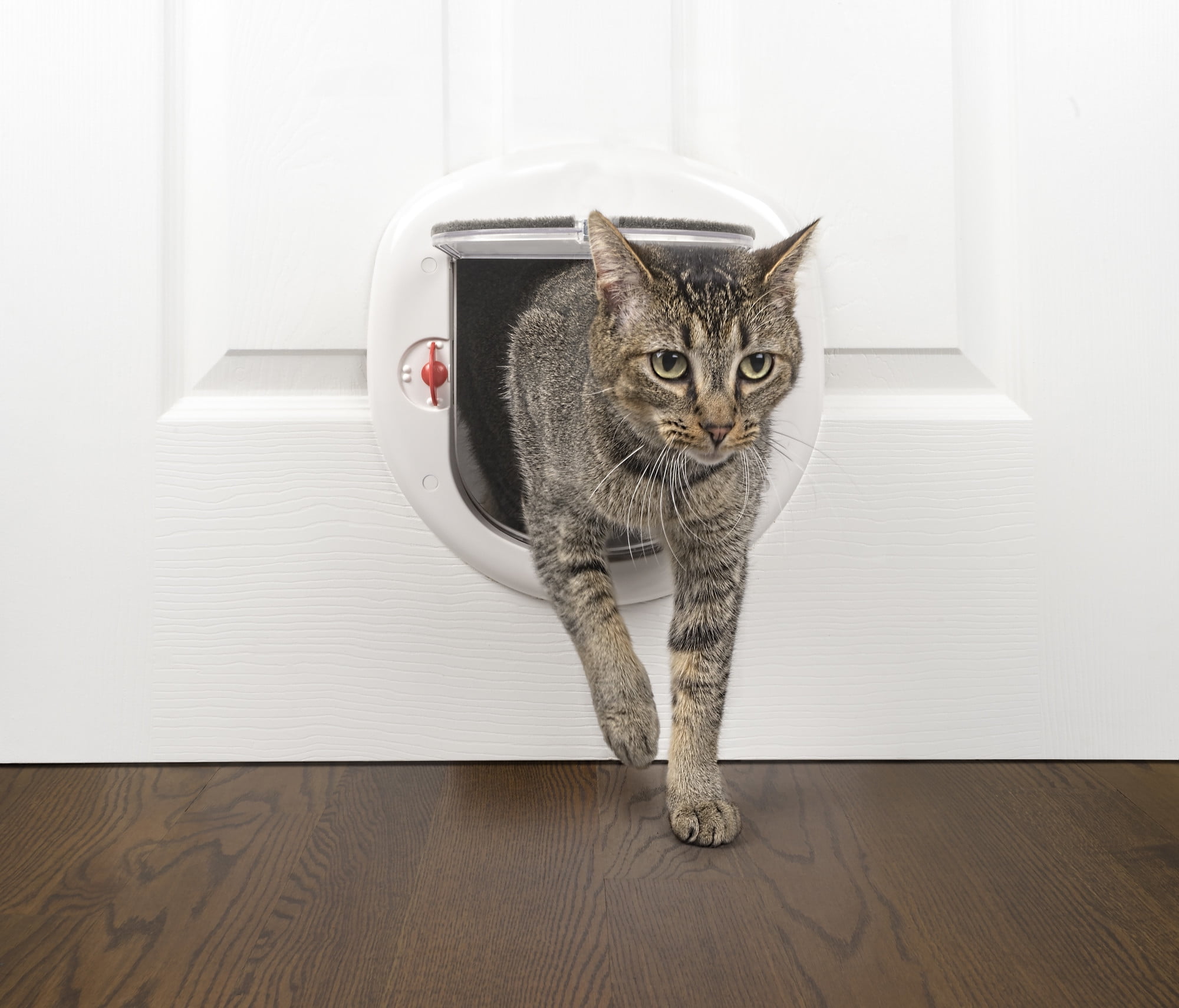 Premier Pet Locking Pet Door for Cats or Small Dogs up to 25 Pounds ...