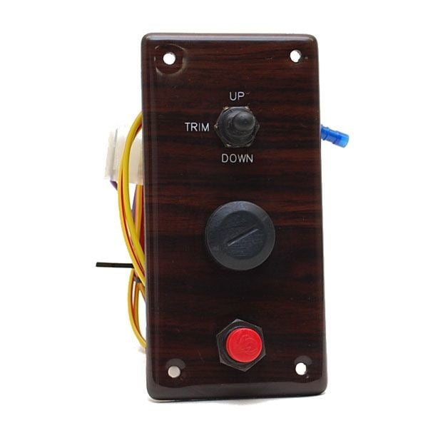 Premier Pontoon Boat Ignition Switch Panel | Trim 3 x 6 Inch - Walmart.com