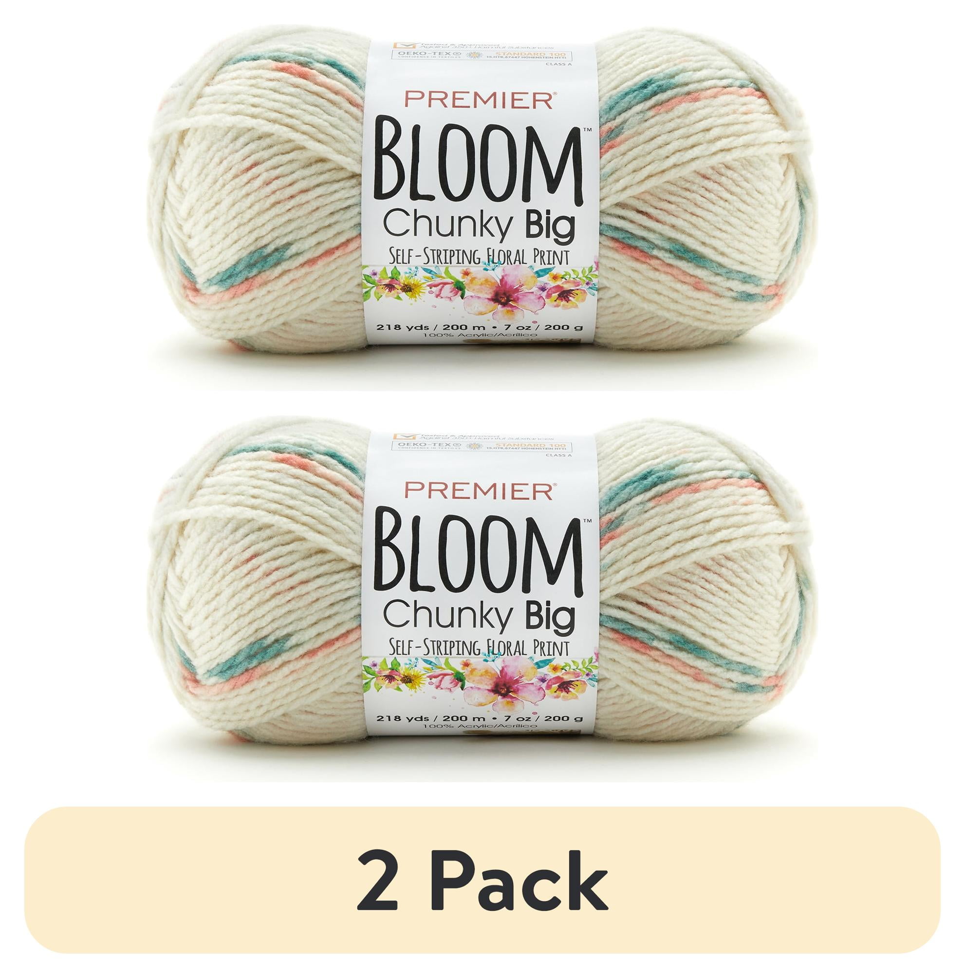 (2 pack) Premier Yarns - Bloom Chunky Big Yarn - Gerbera - 7oz 218yds ...