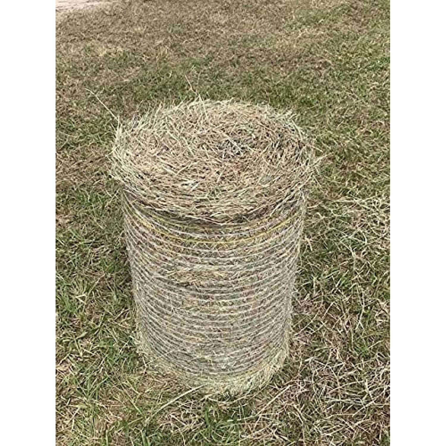 Premium, 100 Natural Coastal Bermuda HAY ROLL (Approximately 30lb) for ...