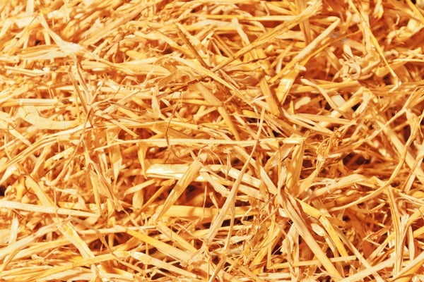 Premium 100% Natural Straw for Animal Bedding, Garden Mulch, Compost ...