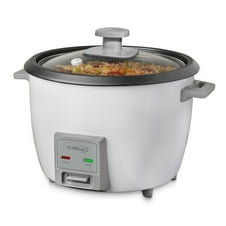 Mini Electric Cookers for Small Spaces and Travel Comfortable Cooking