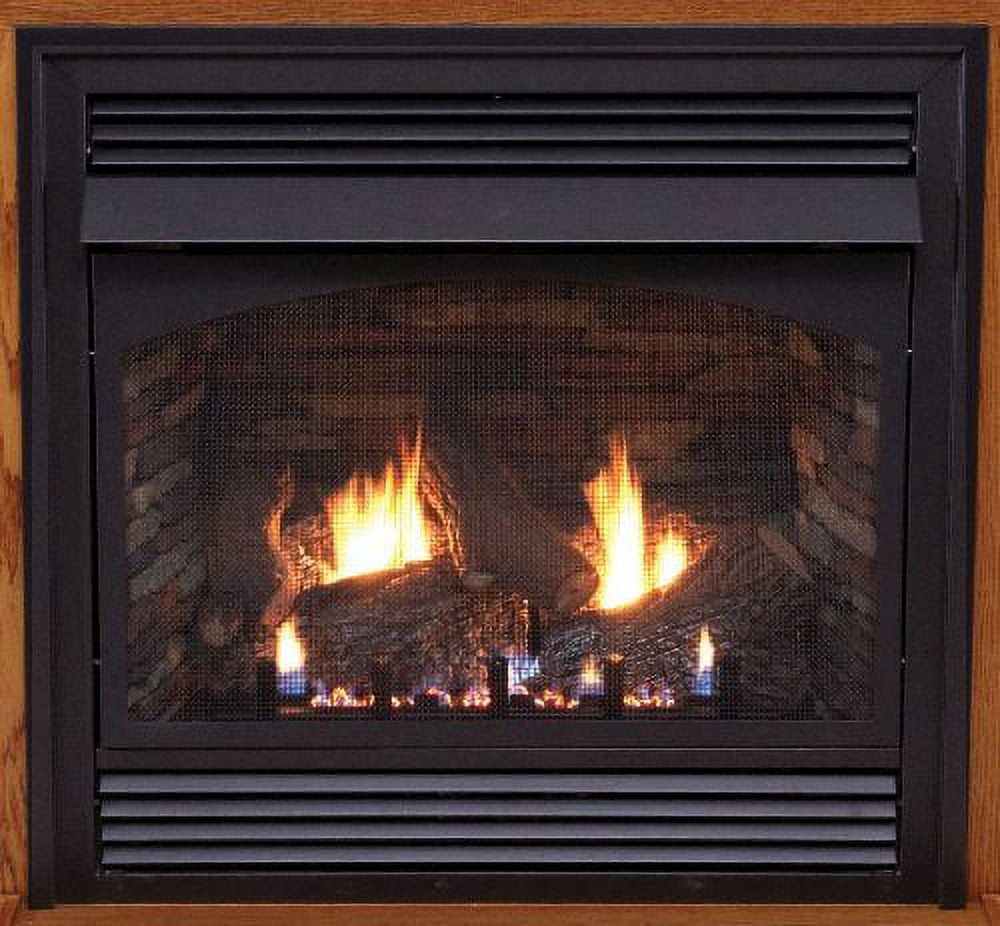 Premium 32" Vent-Free Thermostat Control LP Fireplace with Blower ...
