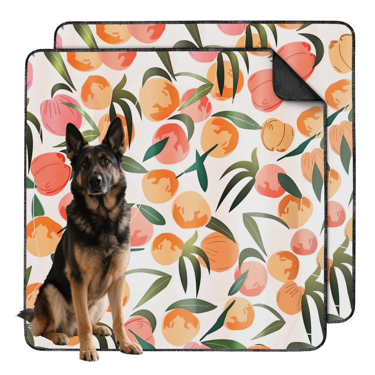 Premium 48"x48" Fruit Patterns Design Washable Dog Pee Pads, Reusable ...