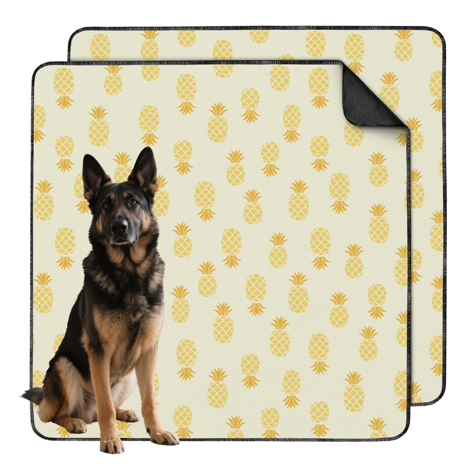 Premium 48"x48" Fruits Pattern Washable Pee Pads, Reusable Potty ...