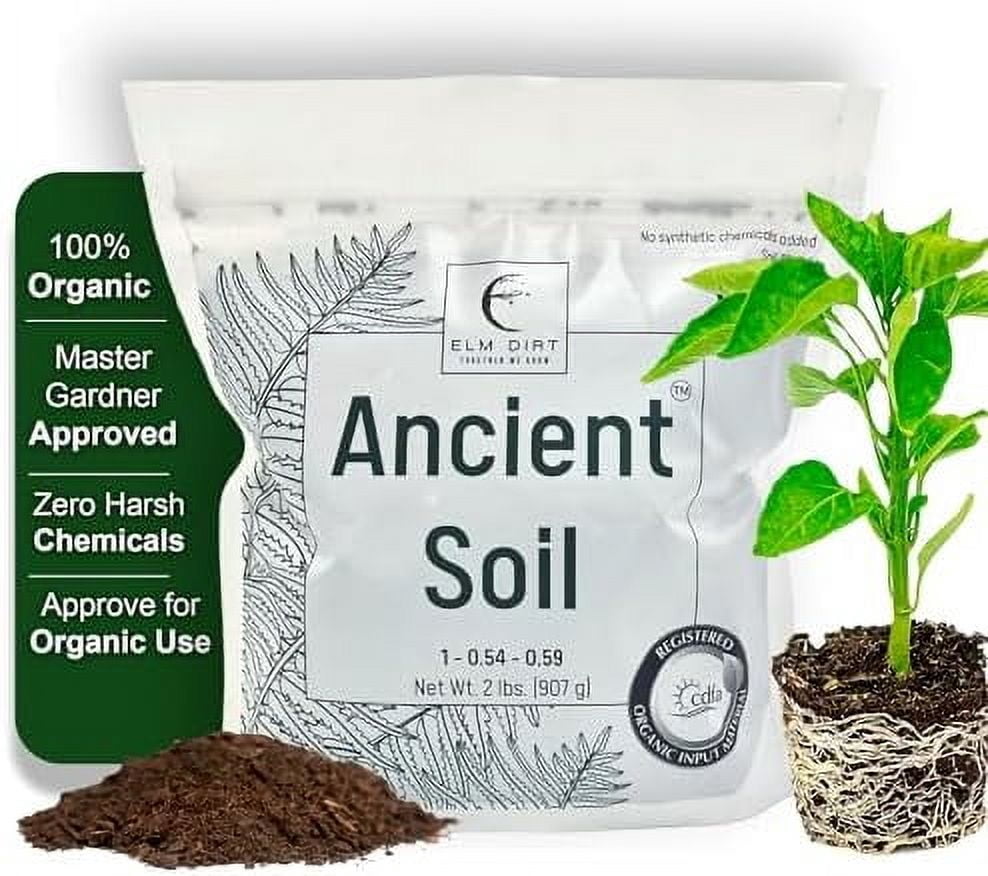 Premium Ancient Soil for All Plants - Organic Plant Soil for Outdoor ...