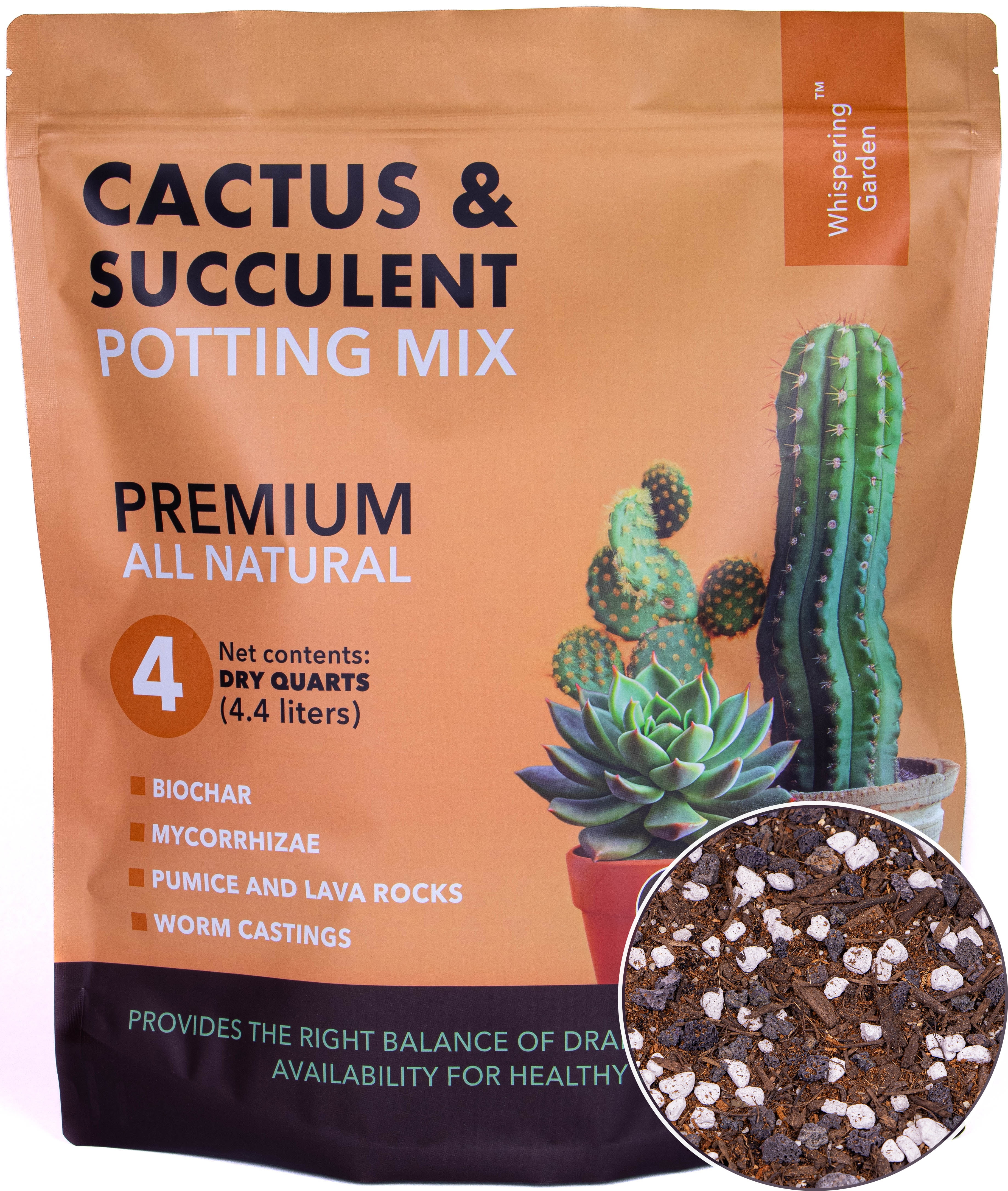 Premium Cactus & Succulent Potting Soil Mix - Well Draining Blend with ...