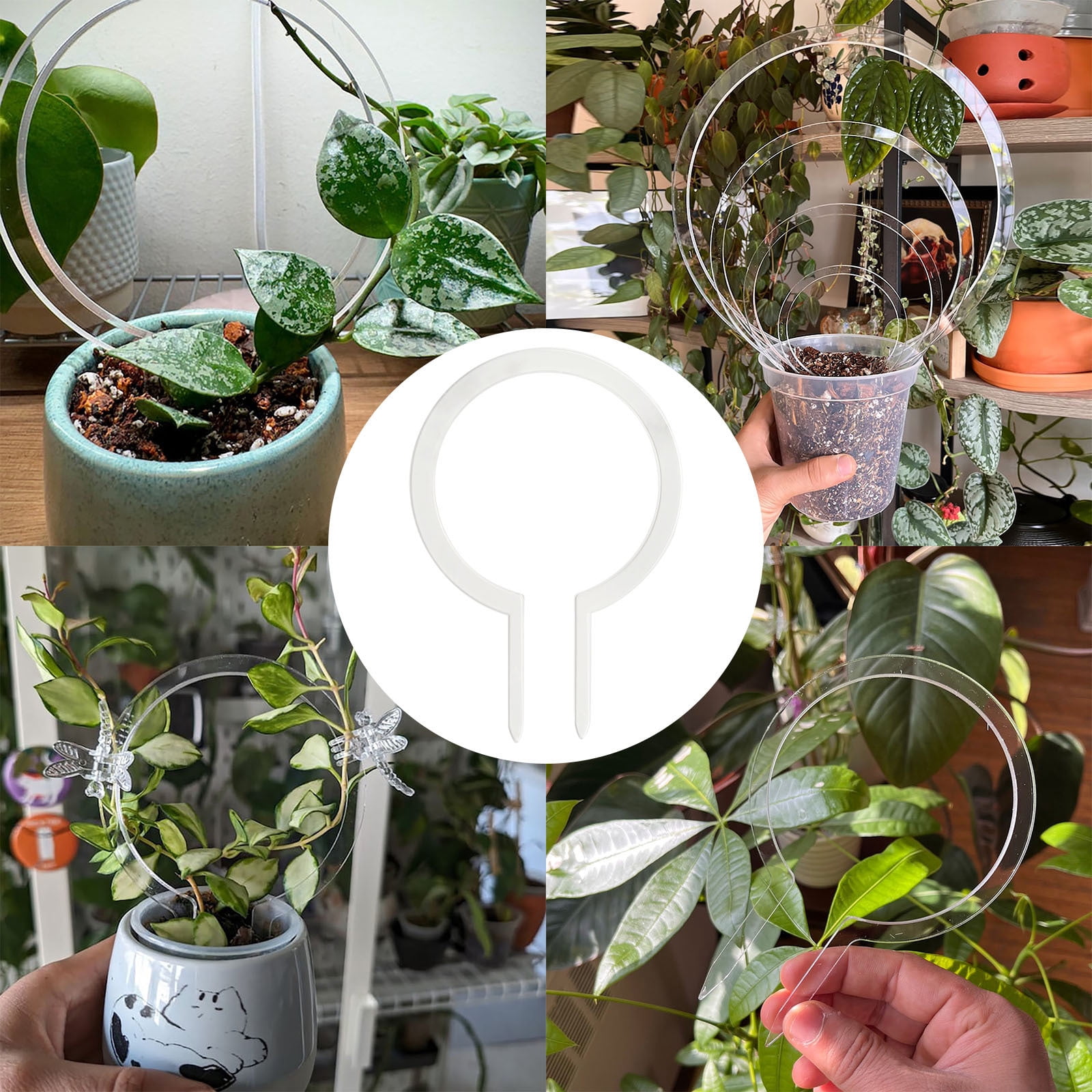 Premium Clear Acrylic Plant Dome - Crystal-like 180° Curved Greenhouse ...