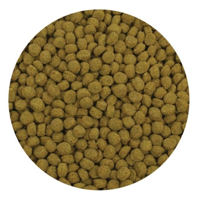 Premium Color Enhancing Fish Food Pellets - 10 Kg - Walmart.com