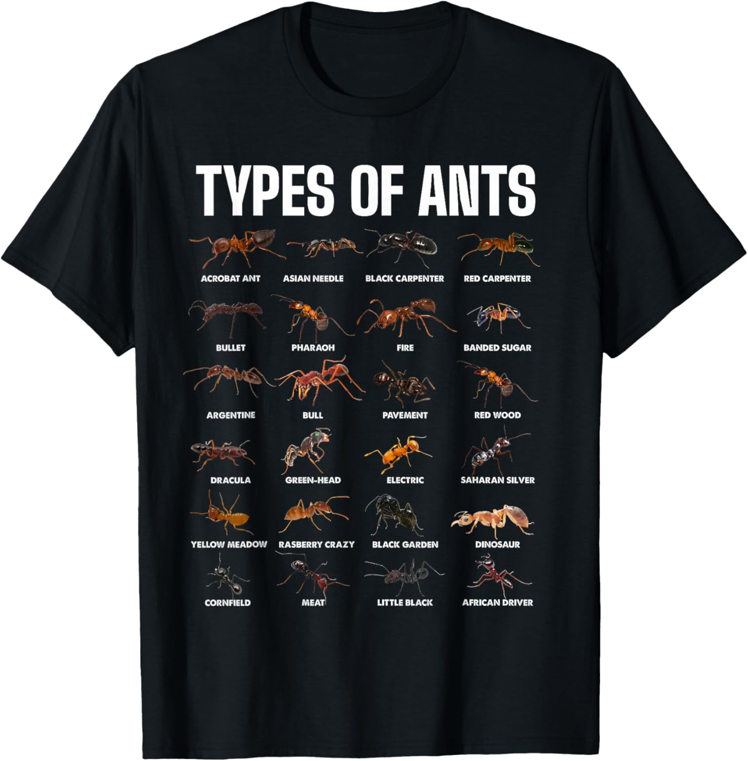 Premium Daily Comfort - Types of Ants for Ant Keeper Lovers T-Shirt ...